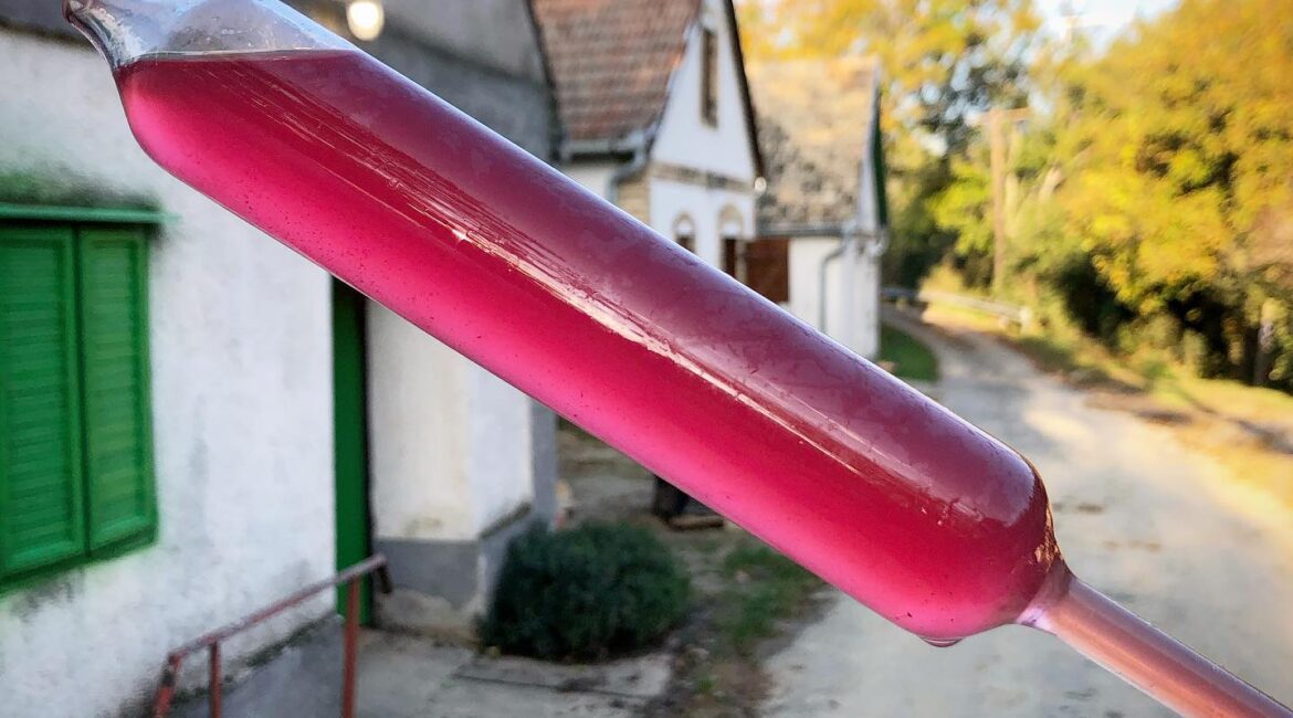 Rosé borok - Borhajó - Hajósi Pincefalu - Tudástár